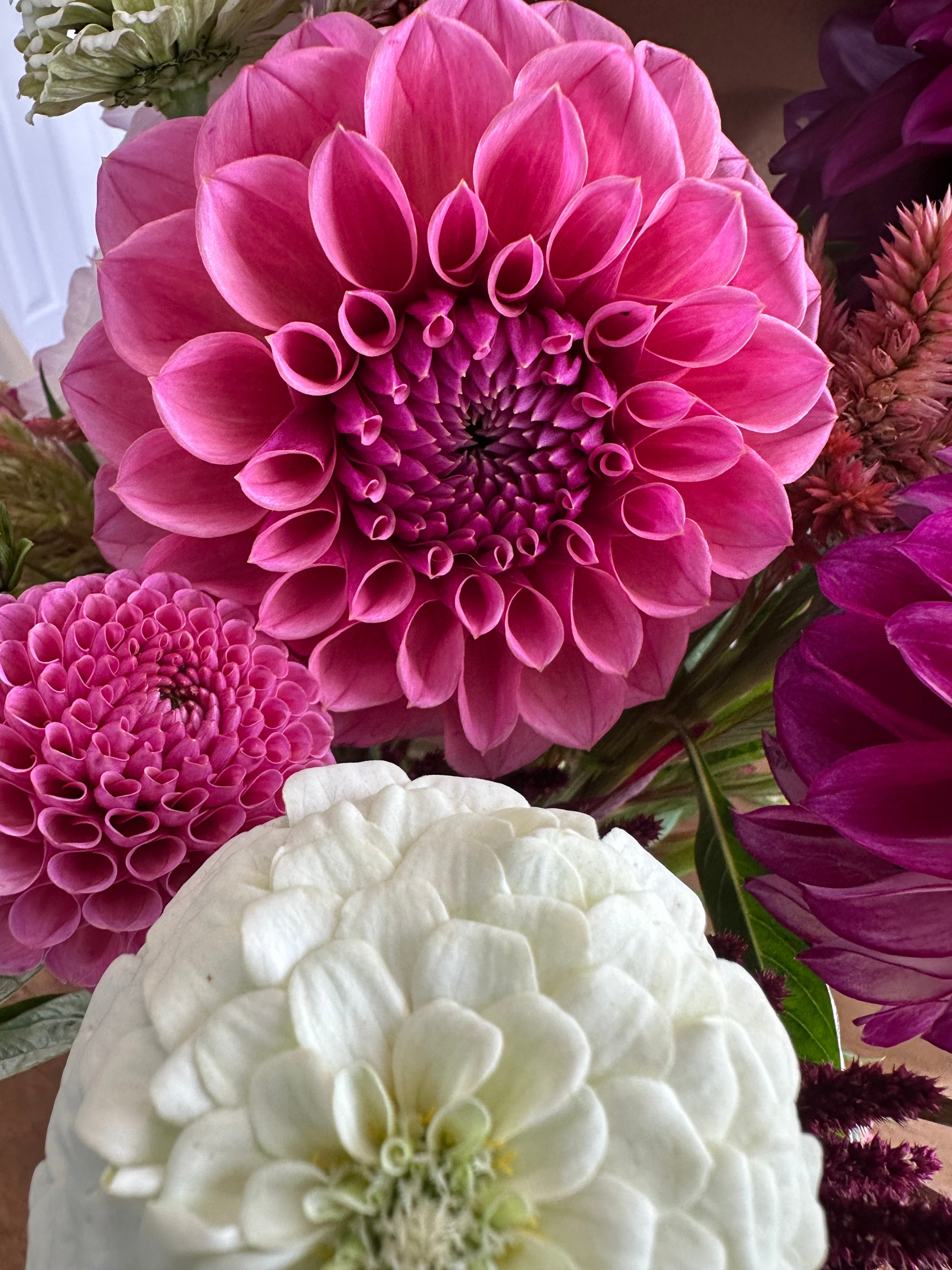 2026 Autumn Bouquet Subscription – Wildly Rooted Floral